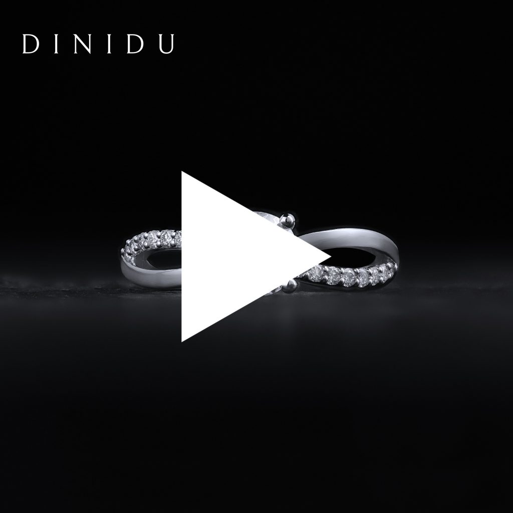 Lilian Diamonds and Platinum Infinity Ring - DINIDU